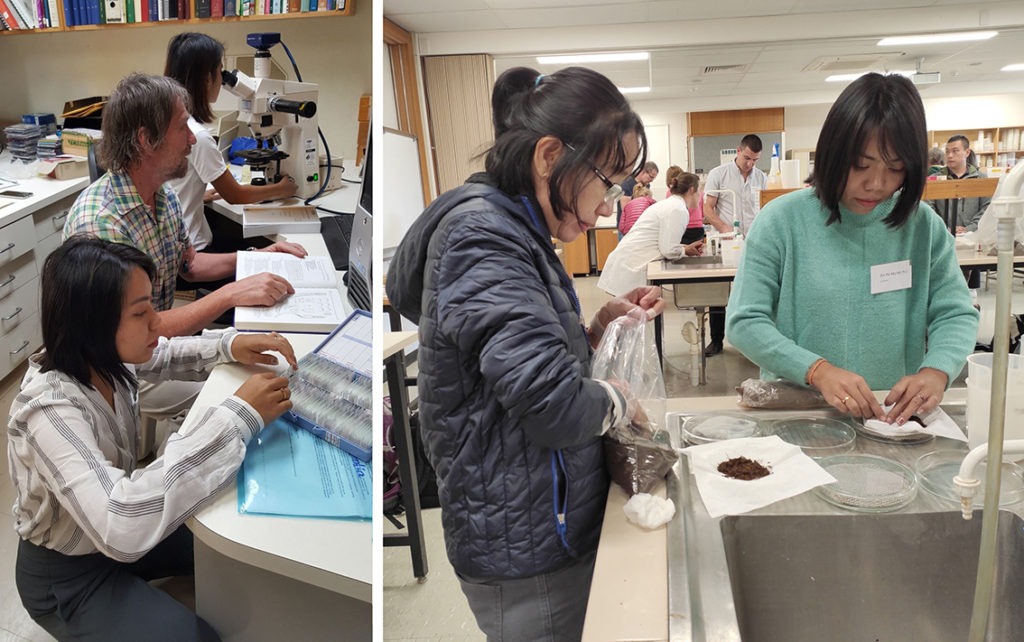 Nematode training in Myanmar