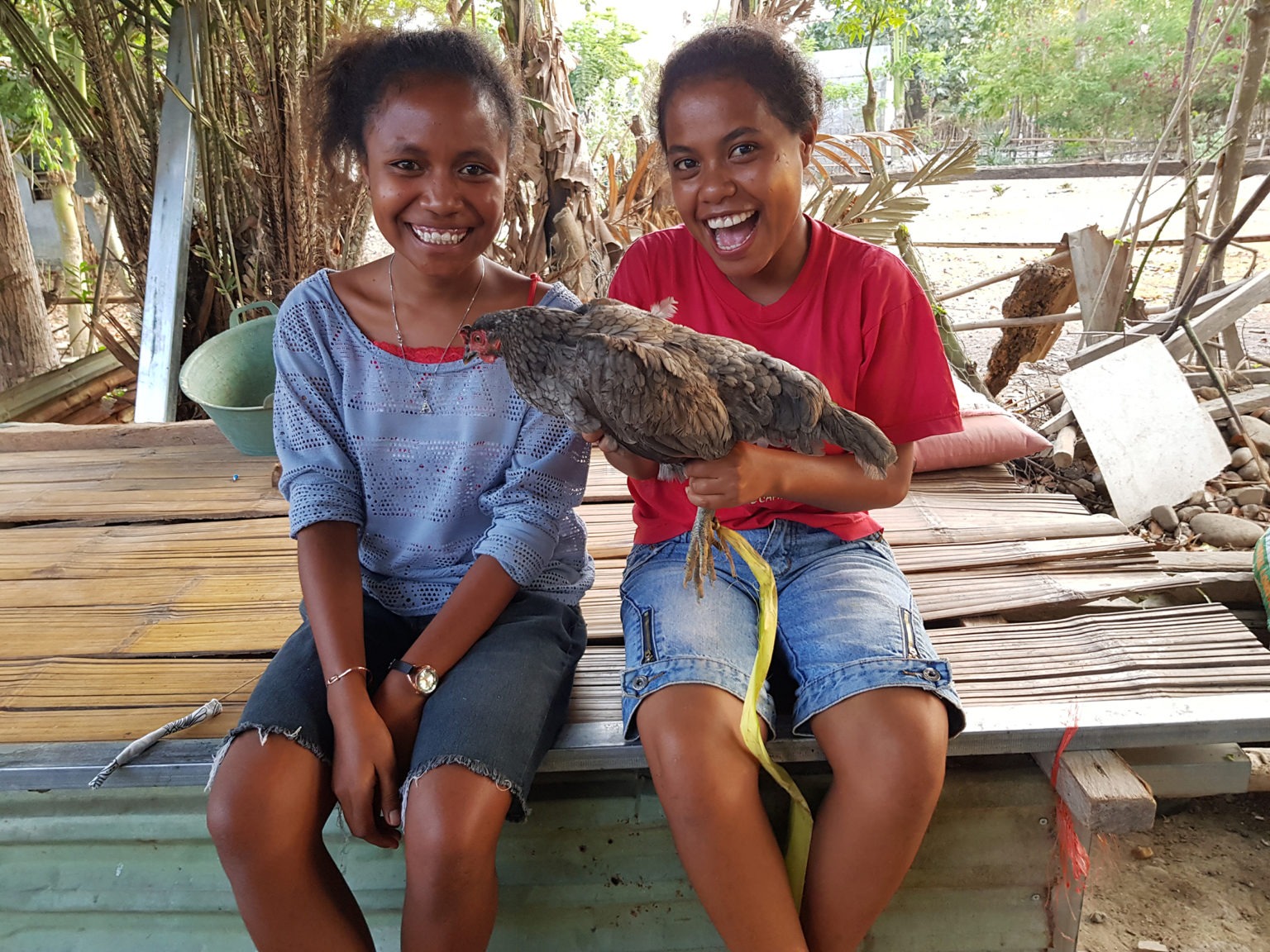 Further plans for mentoring program in Timor-Leste - The Crawford Fund