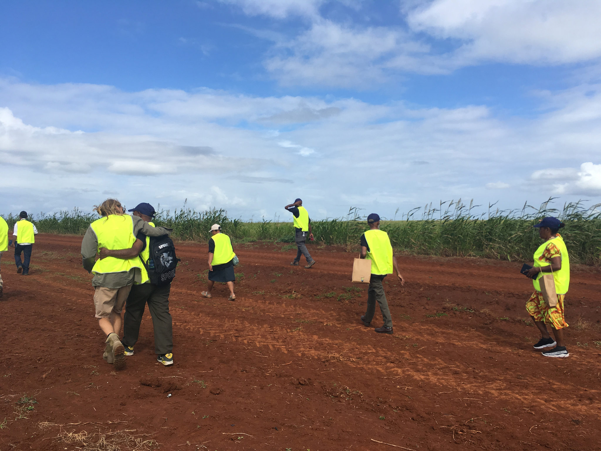 What are rural livelihoods?