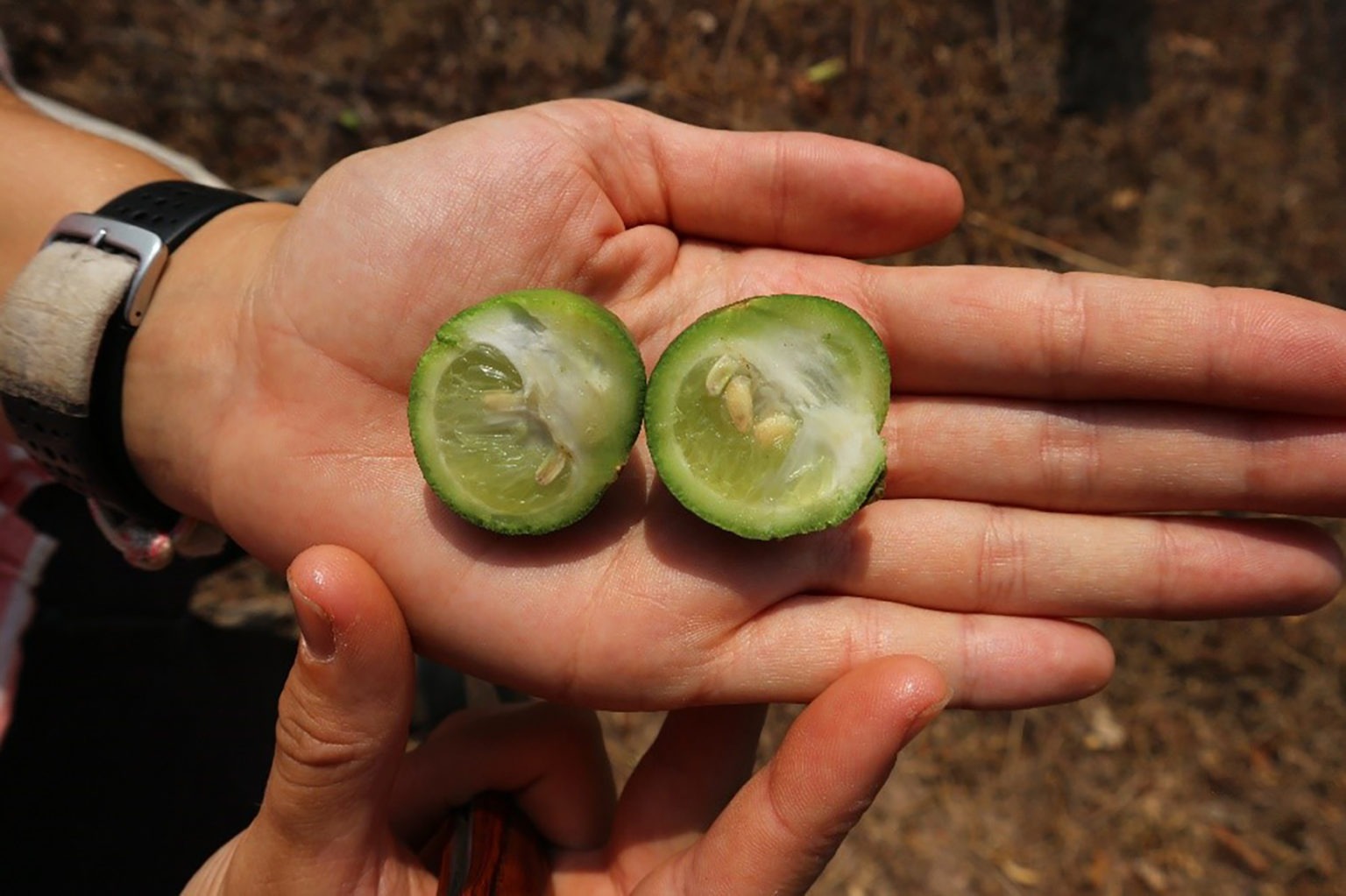 Learning on the ground in Laos