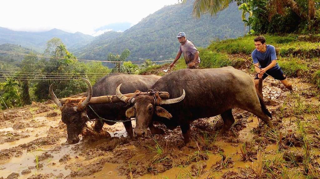 PERFECT pathways to international agriculture - The Crawford Fund