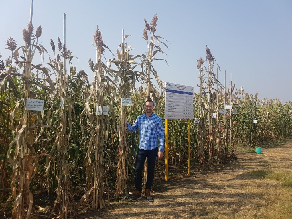 Sharing the Wonderful World of Science for Food Security with CSIRO ...