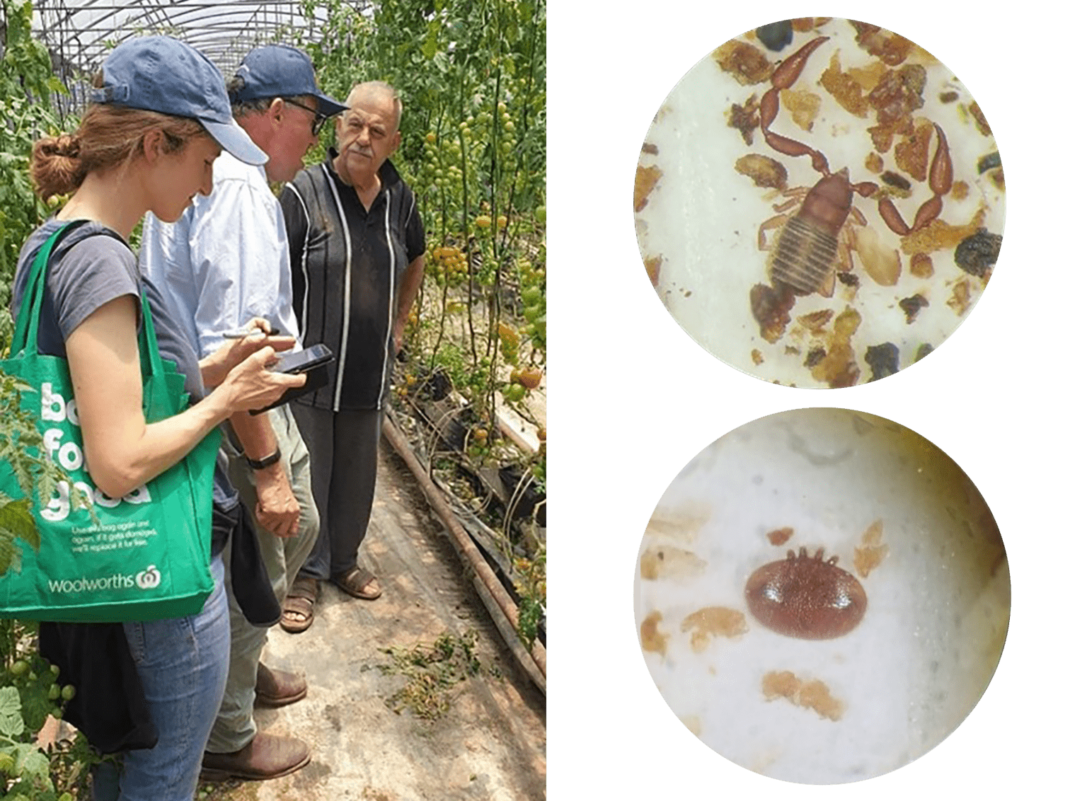 DPI NSW Biosecurity Internships an “invaluable learning opportunity”