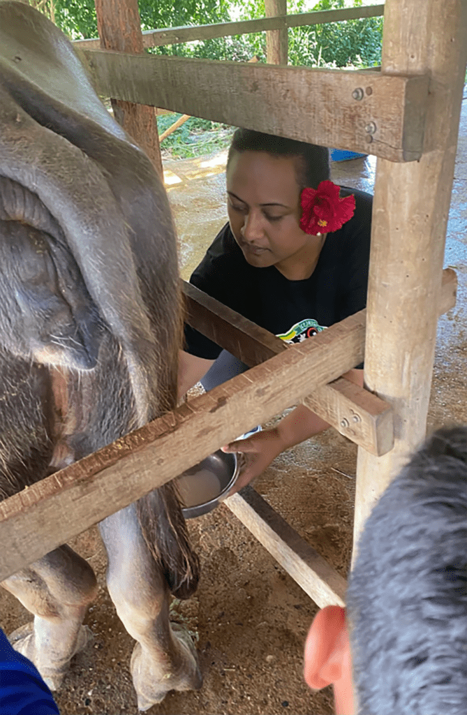 Promoting sustainable animal agriculture for developing countries