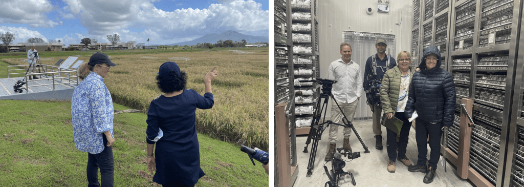 Good news stories on transforming ASEAN and global agriculture